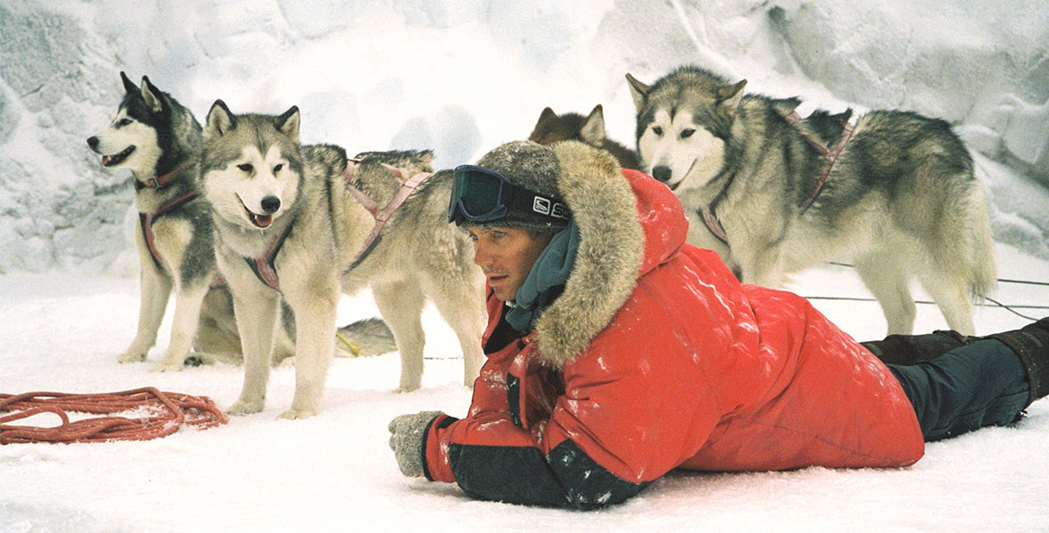 Eight Below is Released - D23