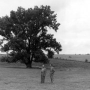 About Walt Disney - D23