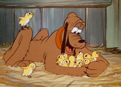 11141936_WDA_TDIDMotherPluto - D23