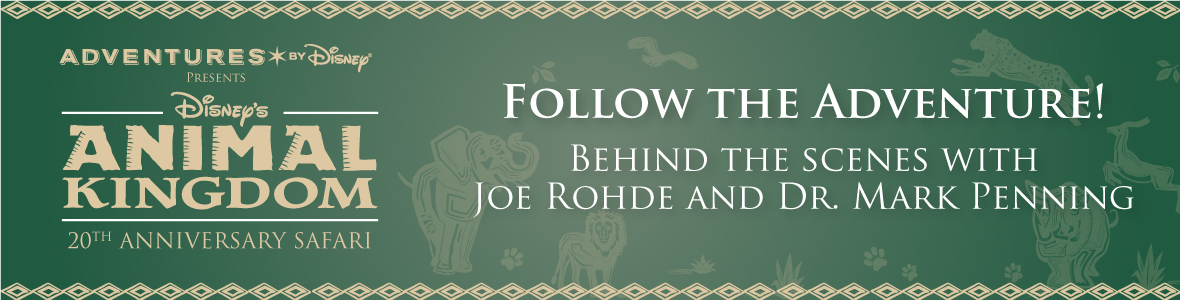 1180x300_Dak20_JoeRohde_v2 - D23