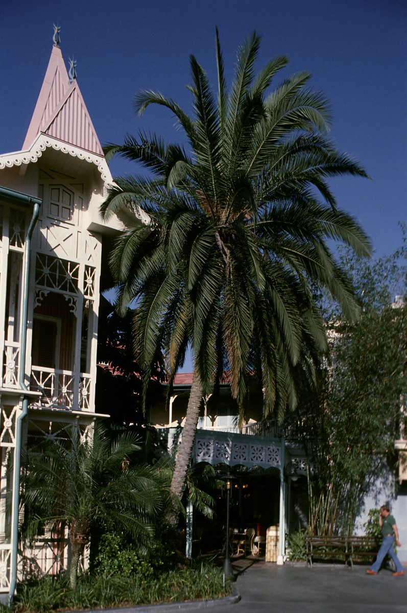 Adventureland Veranda - D23