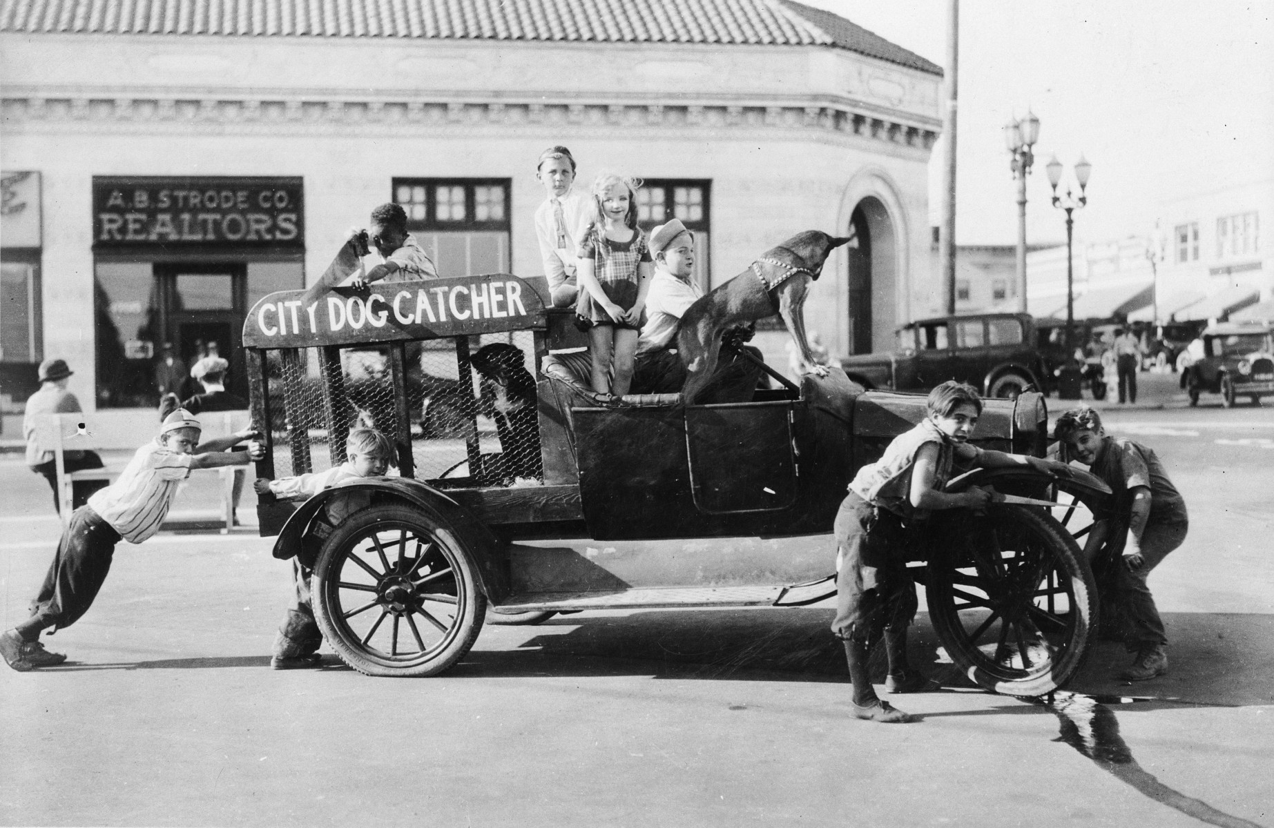 Alice and the Dog Catcher (film) - D23