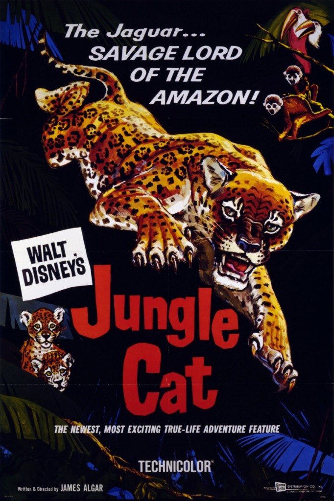 Jungle Cat (film) - D23