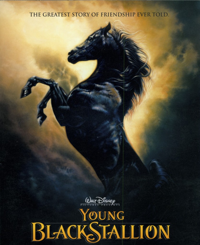young-black-stallion - D23