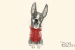 Feast Your Eyes on Winston the Dog - D23