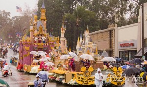 Coming Up Roses - D23