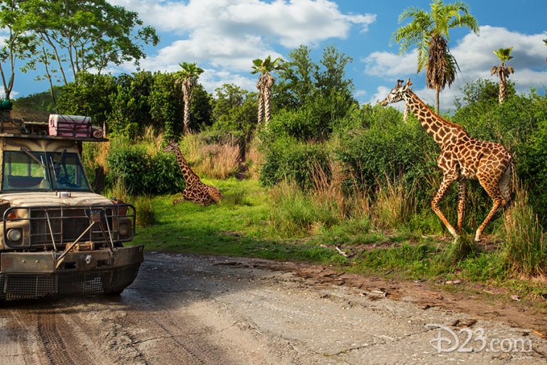 45 Walt Disney World Photos That Will Make You Believe in Magic - D23