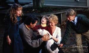 Did You Know? 8 Incredible Facts About Homeward Bound: The Incredible ...