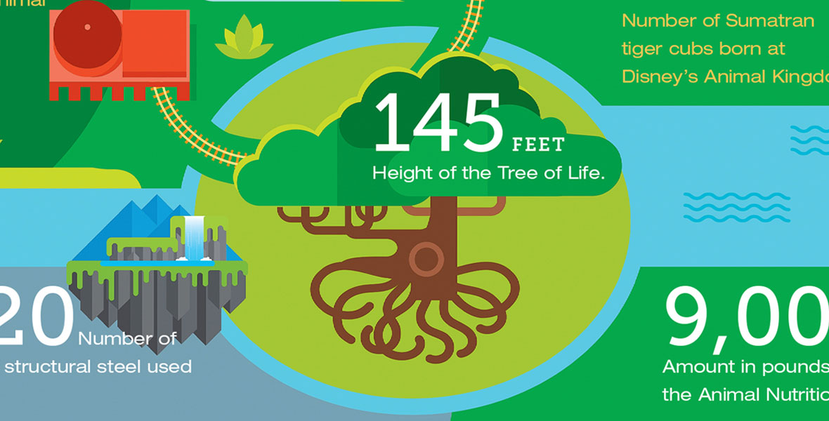 Disney’s Animal Kingdom by the Numbers - D23