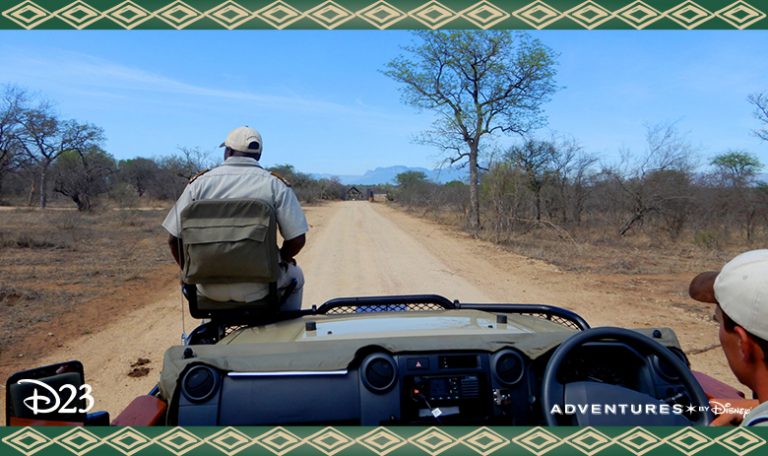 The Little 5—Day 7 of Adventures by Disney Safari to South Africa - D23