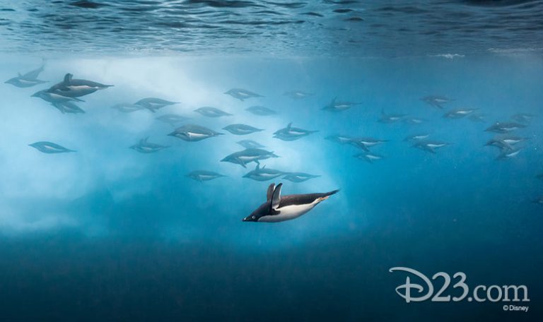 Every Way You Can Celebrate Earth Month with Disney - D23