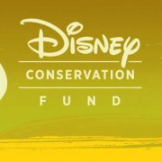 Disneynature Archives - D23