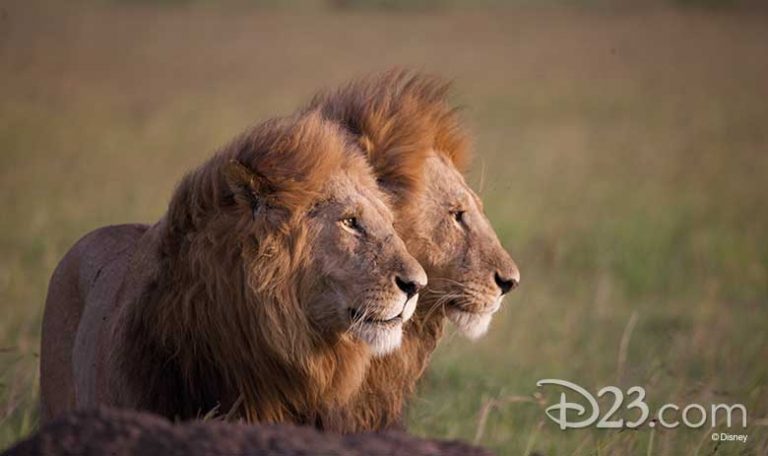 10 Disneynature Films on Disney+ to Celebrate Earth Month - D23
