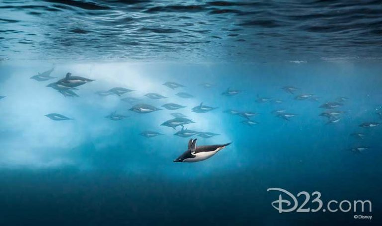 10 Disneynature Films on Disney+ to Celebrate Earth Month - D23