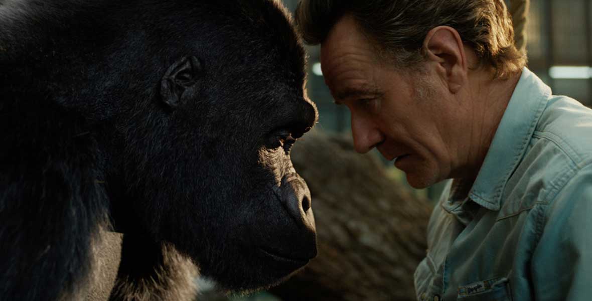 First Look at Disney+’s The One and Only Ivan—Plus More in News Briefs ...