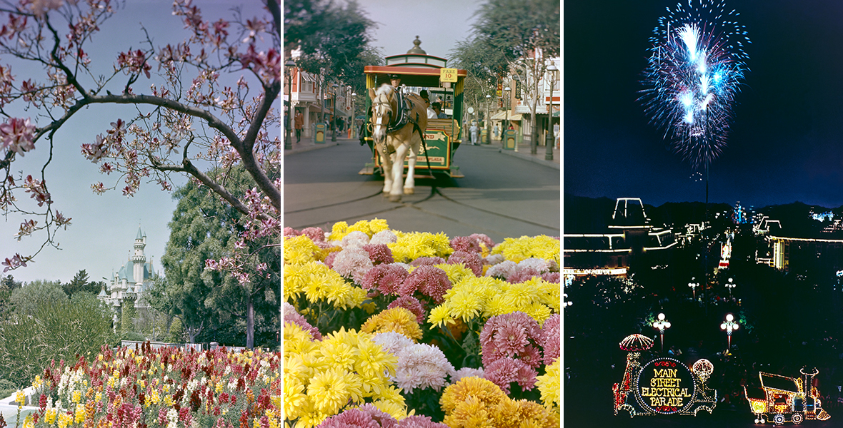Seasons of Sunshine at Disneyland - D23