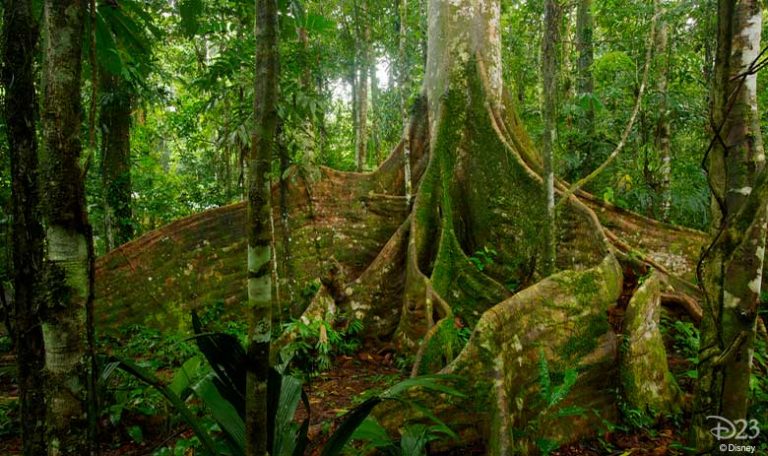 A True-Life Jungle Cruise with National Geographic: The Amazon River - D23