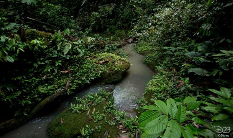 A True-Life Jungle Cruise with National Geographic: The Amazon River - D23
