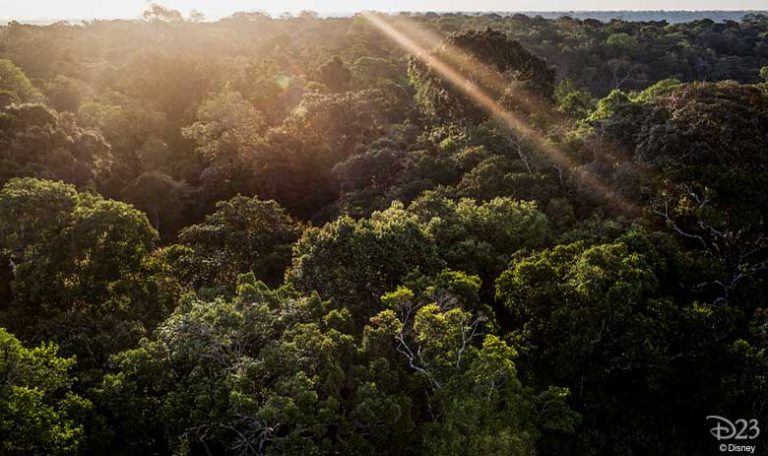 A True-Life Jungle Cruise with National Geographic: The Amazon River - D23