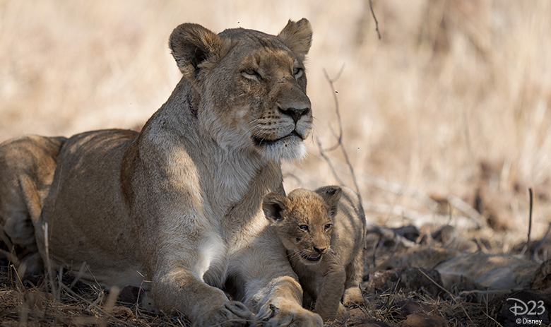 5 Fantastic Things to Watch This Week - D23