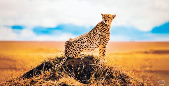 Explore These Breathtaking Destinations with National Geographic - D23