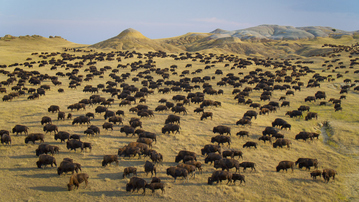 National Geographic’s America the Beautiful - D23