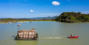 5 Fantastic Things to Watch This Weekend Presented by State Farm® - D23