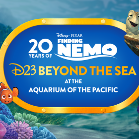 Finding Nemo Archives - D23