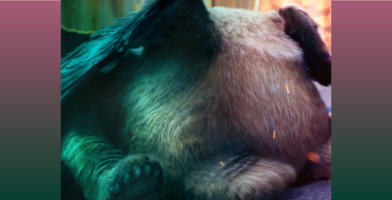 The Universe of Powered-Up Animal Pals in the MCU - D23