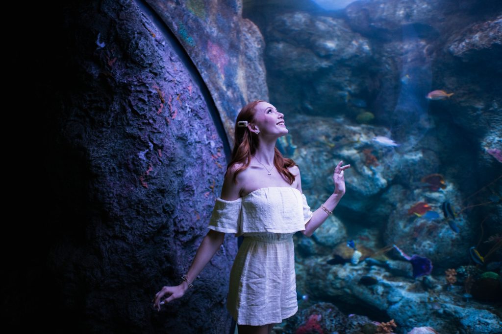 D23 Members Dove Into the Fun at D23 Beyond the Sea: 20 Years of Finding Nemo! - D23