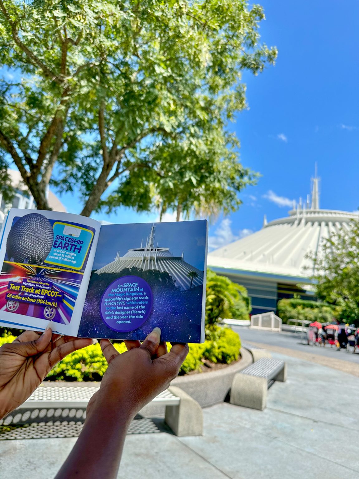 Your Guide to Surprising Secrets About Disney: Weird But True! Disney - D23