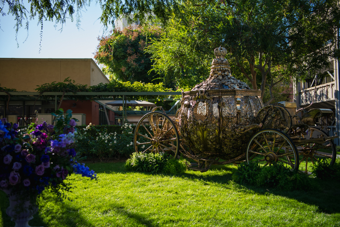 Disney100 Royal Ball: D23 Gold Members Enjoy a Fairytale Evening - D23