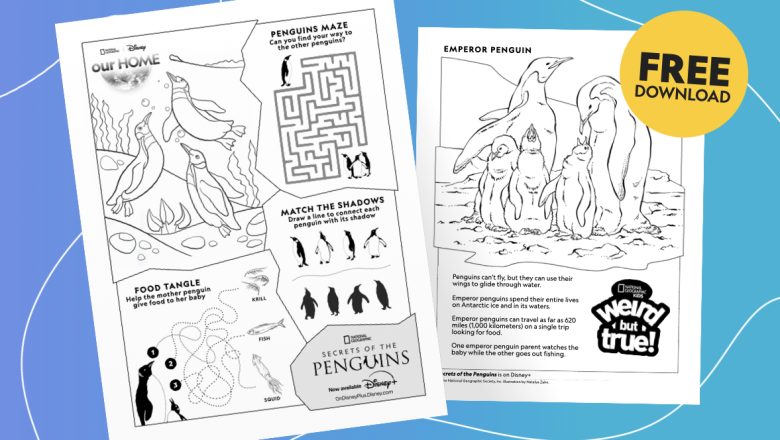 Playful Penguin Activity Sheets from Nat Geo - D23