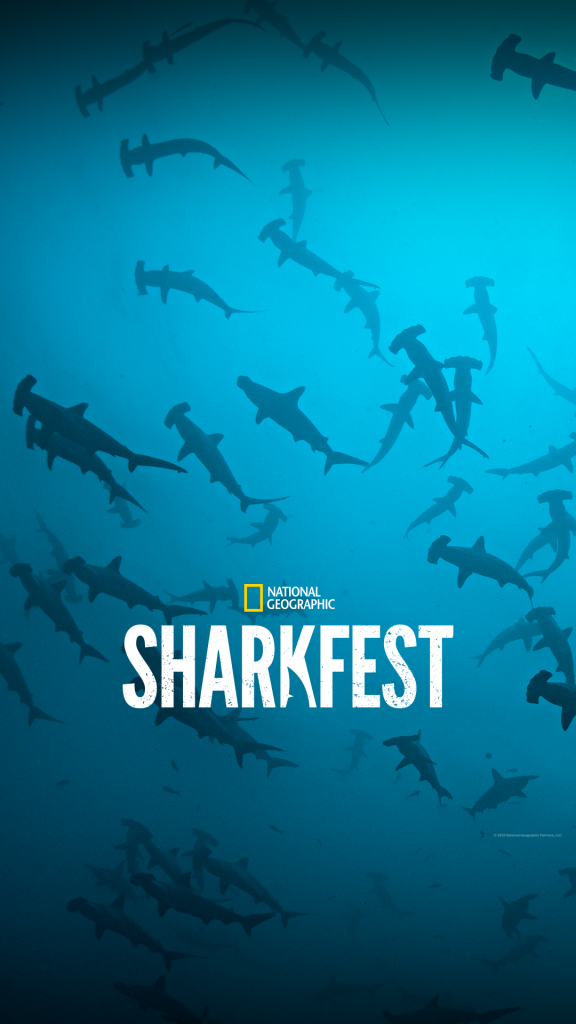 Dive Into SharkFest with These Jaw-some Phone Wallpapers! - D23