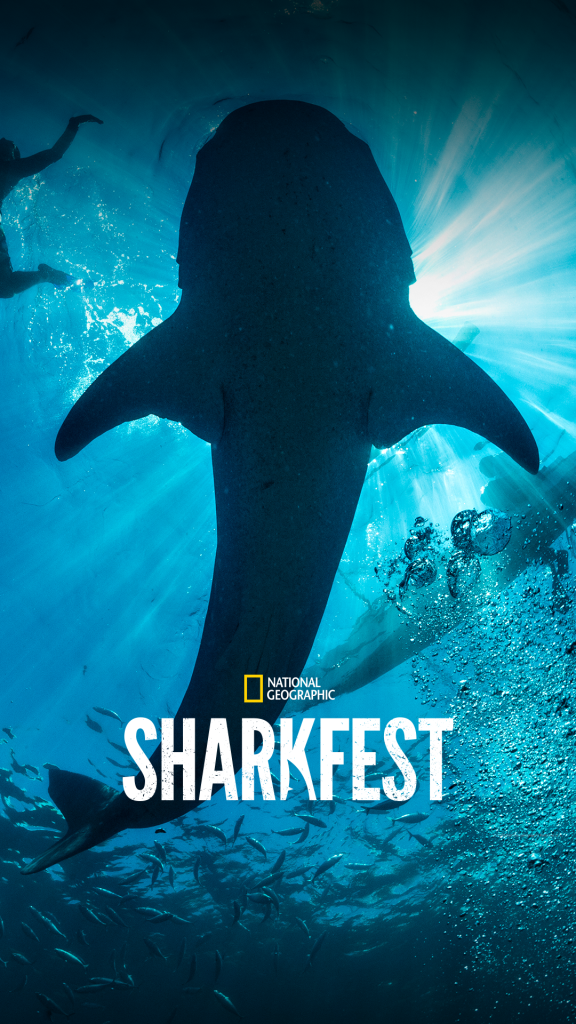 Dive Into SharkFest with These Jaw-some Phone Wallpapers! - D23