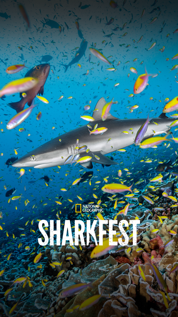 Dive Into SharkFest with These Jaw-some Phone Wallpapers! - D23